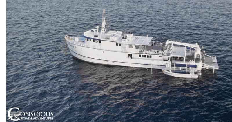 Case Study: Computers in Marine Exploration